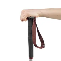 بهترین قیمت خرید باتوم‌ کچوا مدل Arpenaz 200 Quechua | ذره بین