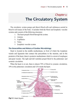 بهترین قیمت خرید Heart & Circulatory System - Anatomy, Embryology ...